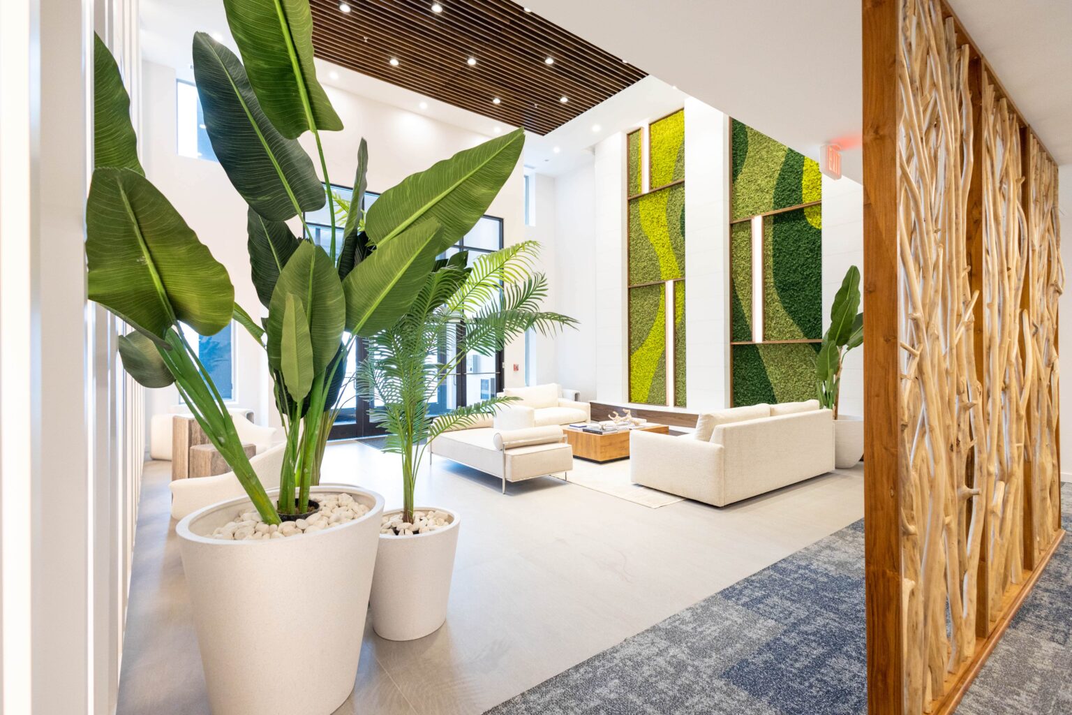 Gallery - The Hiatus